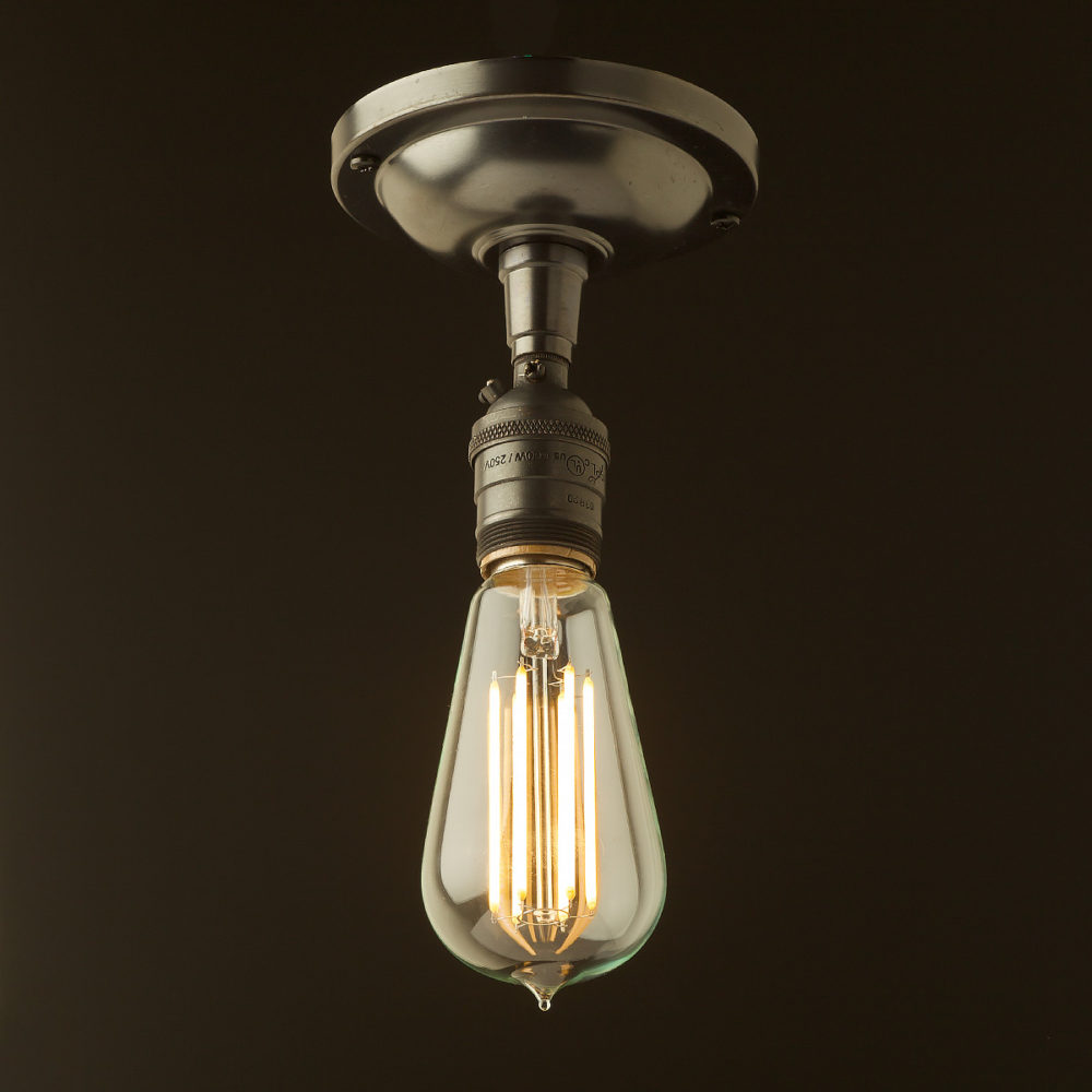 Ceiling lights • Edison Light Globes 120V