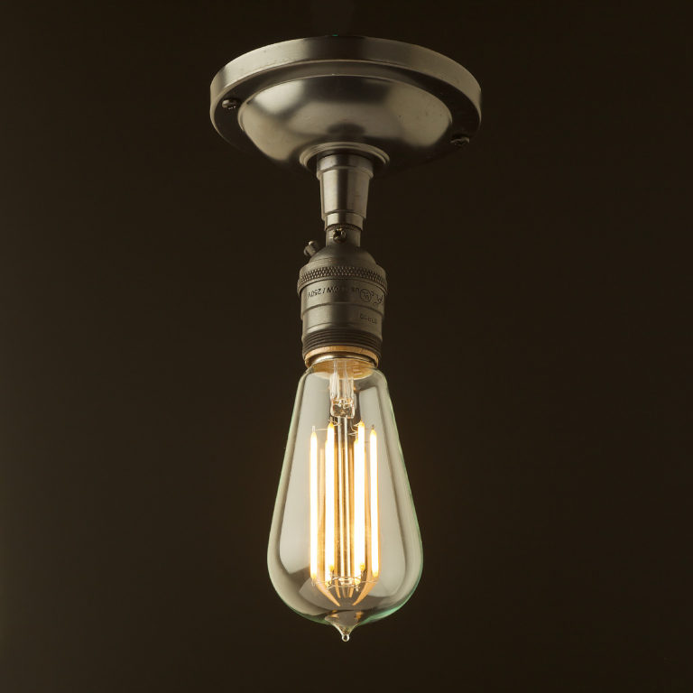 Flush mount ceiling lights • Edison Light Globes 120V