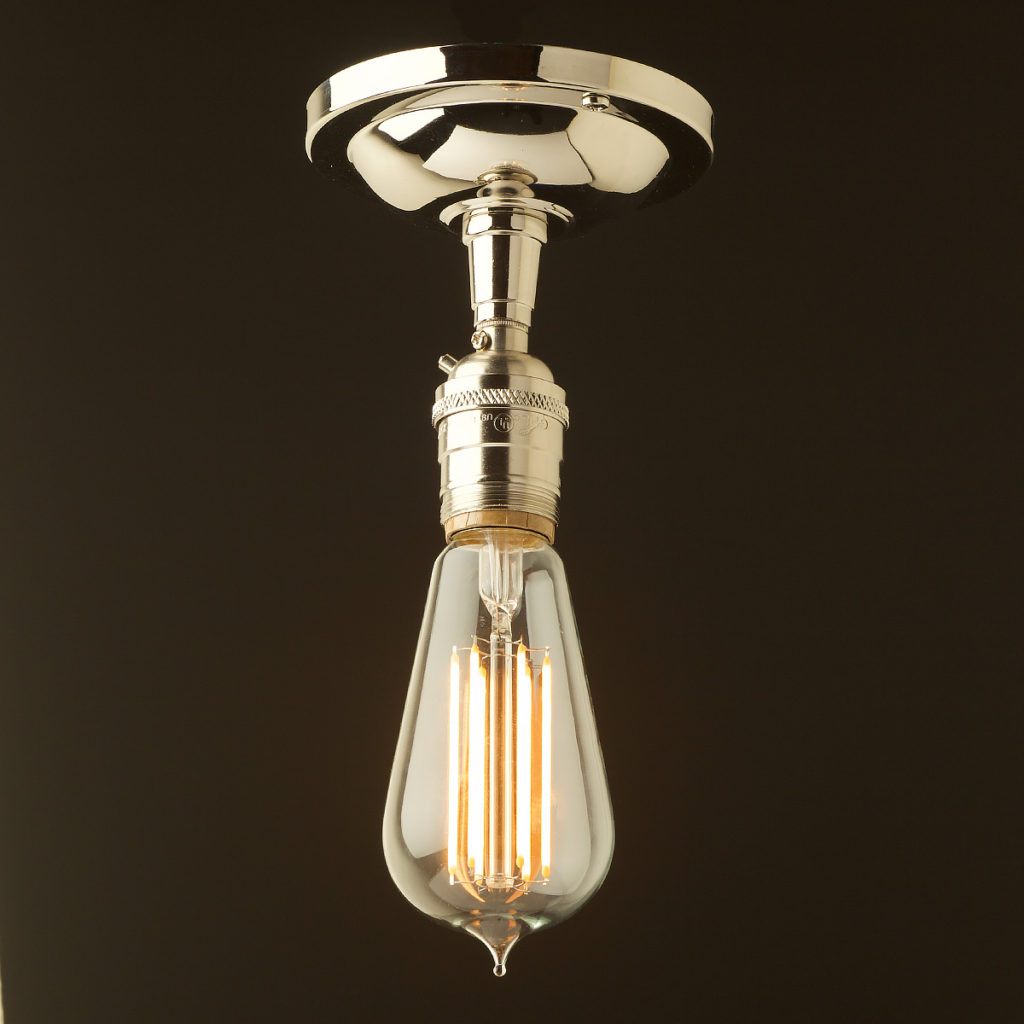 Flush mount ceiling lights • Edison Light Globes 120V